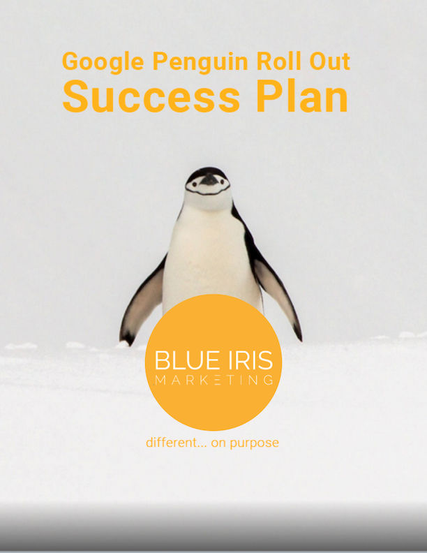 Google Penguin Survival Plan Sign Up - Blue Iris Marketing | Web Design ...